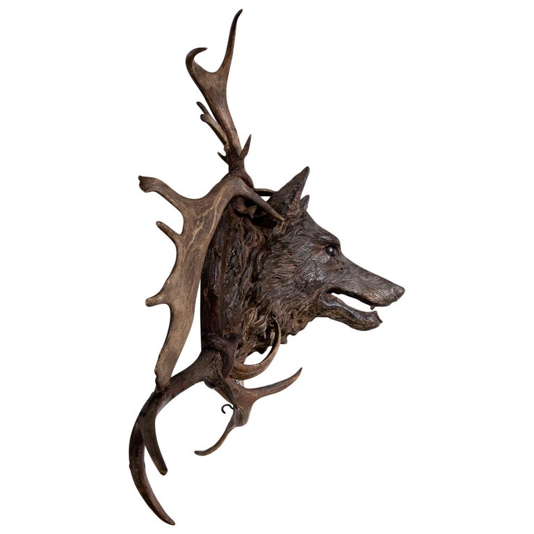 Wolf’s Head as Hunting Object, Austria, circa 1880 at 1stDibs