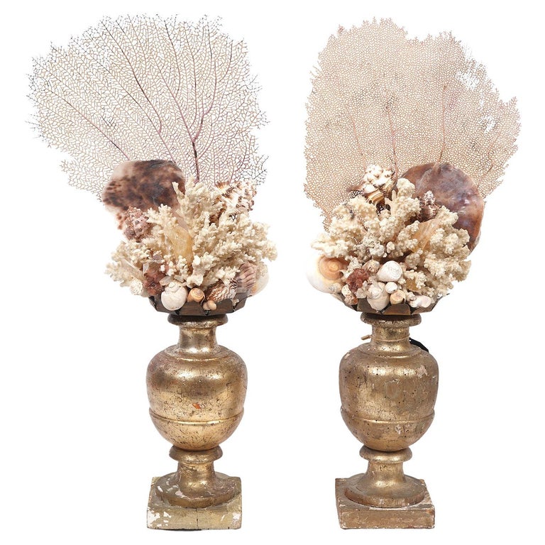 Wonderful Pair of Custom Made Coral Fragments Mounts on Antique Gilt ...
