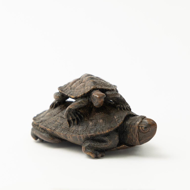 Wood netsuke of two turtles Nagoya school, 19th century at 1stDibs