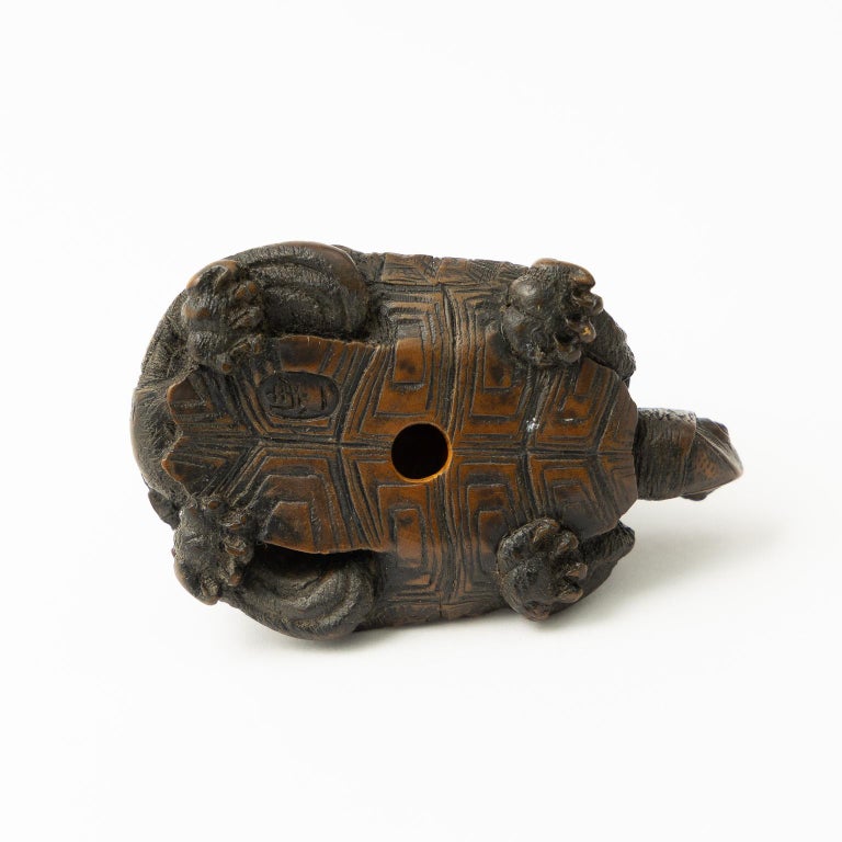 Wood netsuke of two turtles Nagoya school, 19th century at 1stDibs