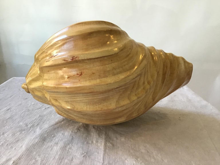 Wood Seashell at 1stDibs