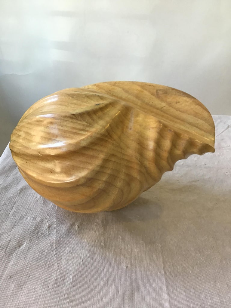 Wood Seashell at 1stDibs