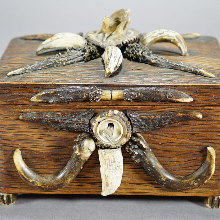 Wooden Black Forest Casket with Antlers Decoration circa 1900s For Sale ...