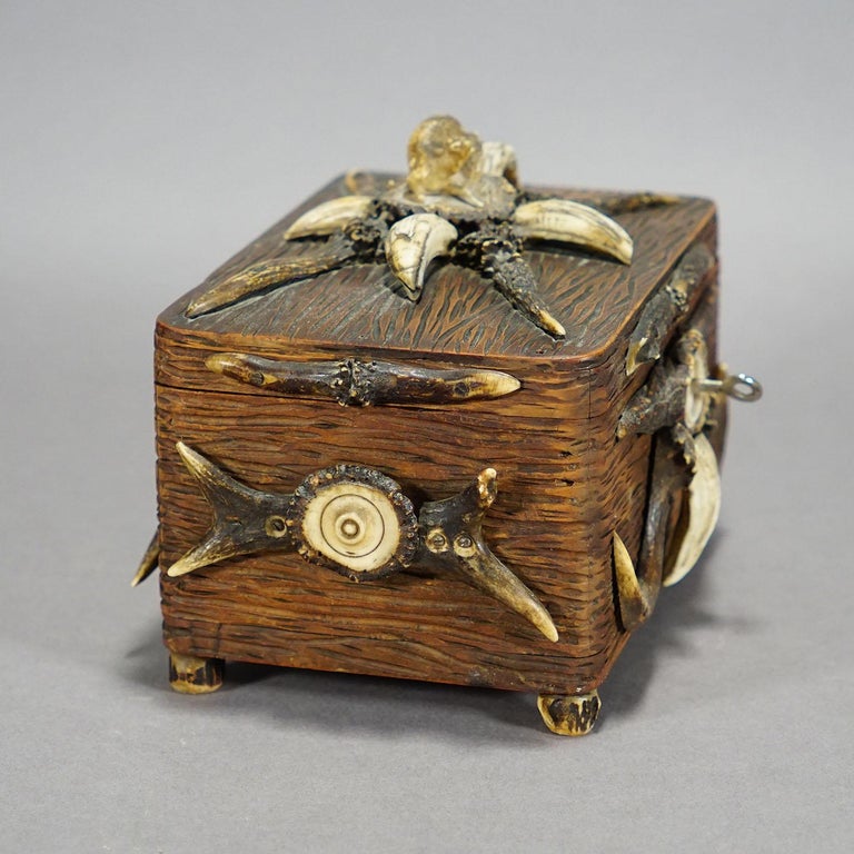 Wooden Black Forest Casket with Antlers Decoration circa 1900s For Sale ...