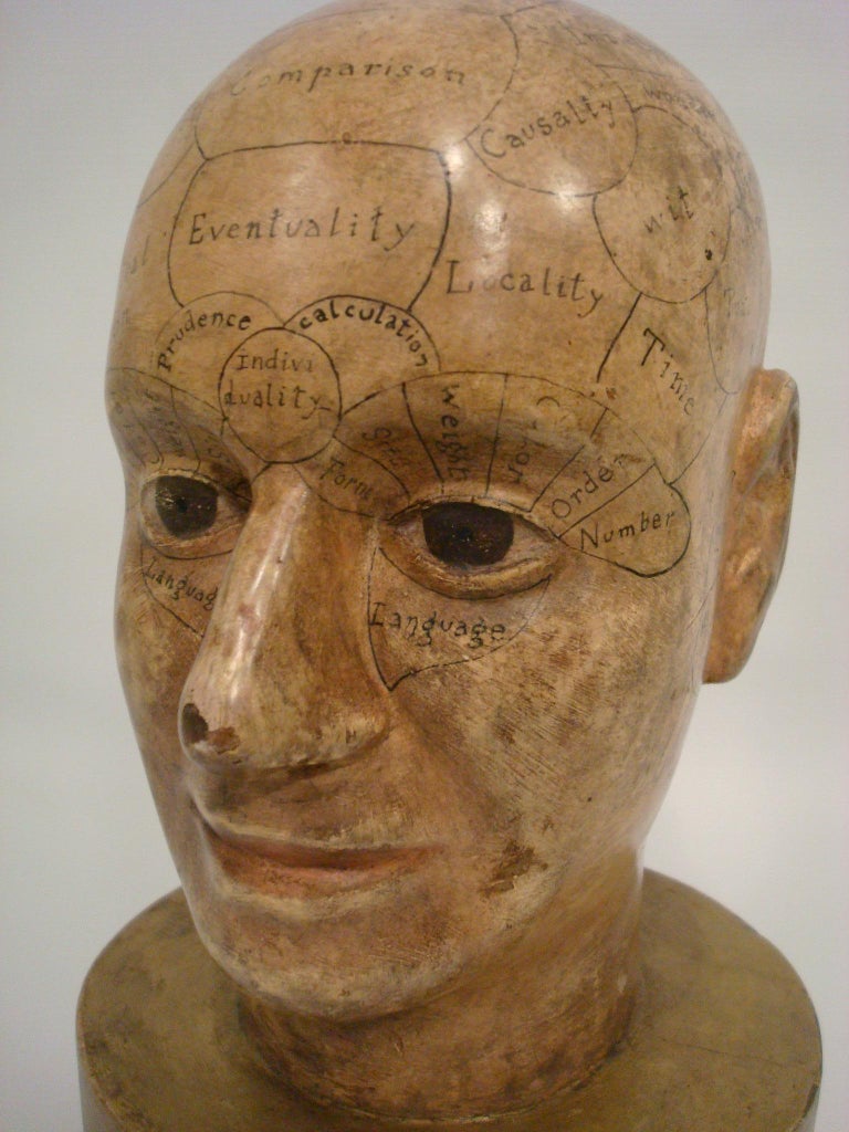 Wooden Phrenology Head Advertising Store Display Model Folk Art ...