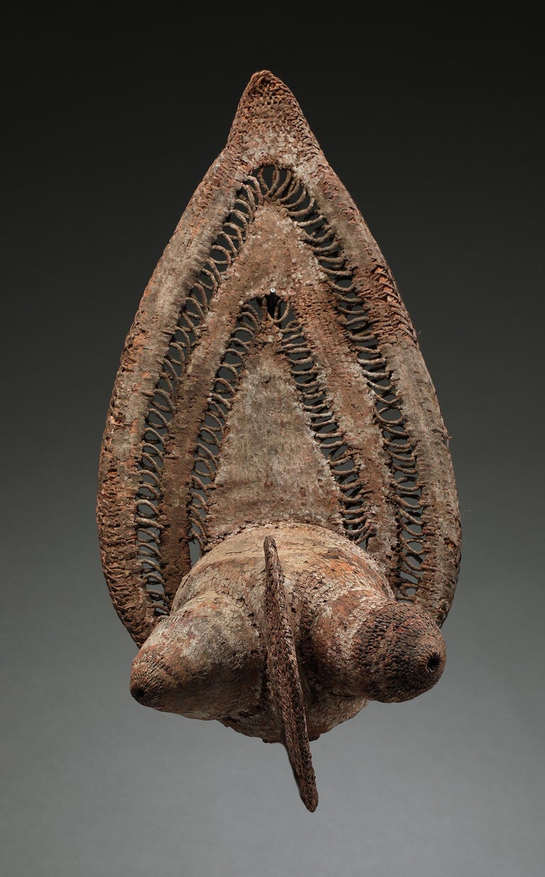 Woven Painted Basketry Old Yam Mask with Sculptural Bird Face, Papua ...