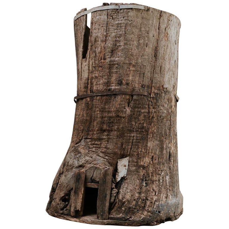 Extra Large 19th Century Extra Large Tree Trunk Planter/Sculpture at ...