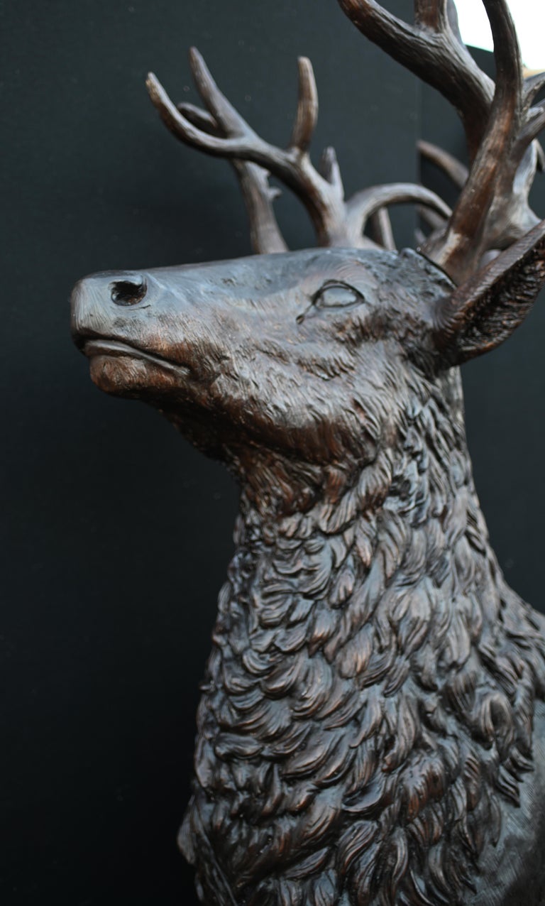 XL Bronze Stag Statue Monarch of Glen For Sale at 1stDibs