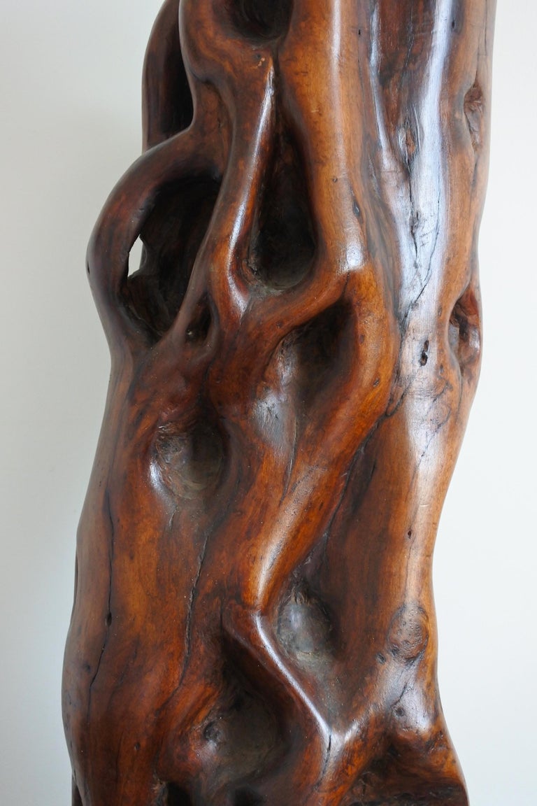 Extra Large Midcentury Olive Wood Trunk Sculpture, France at 1stDibs
