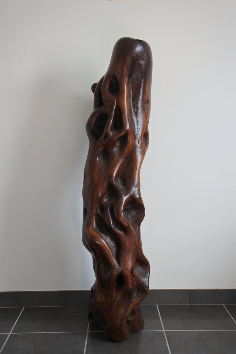 Extra Large Midcentury Olive Wood Trunk Sculpture, France at 1stDibs