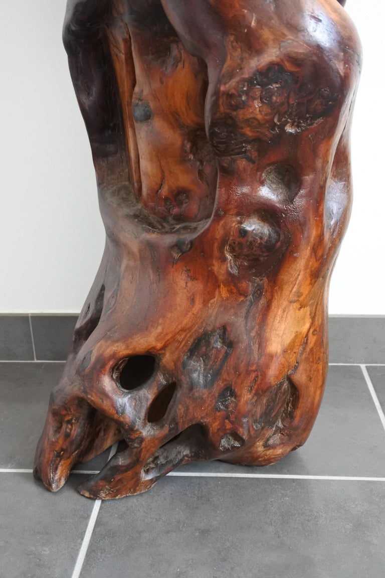 Extra Large Midcentury Olive Wood Trunk Sculpture, France at 1stDibs