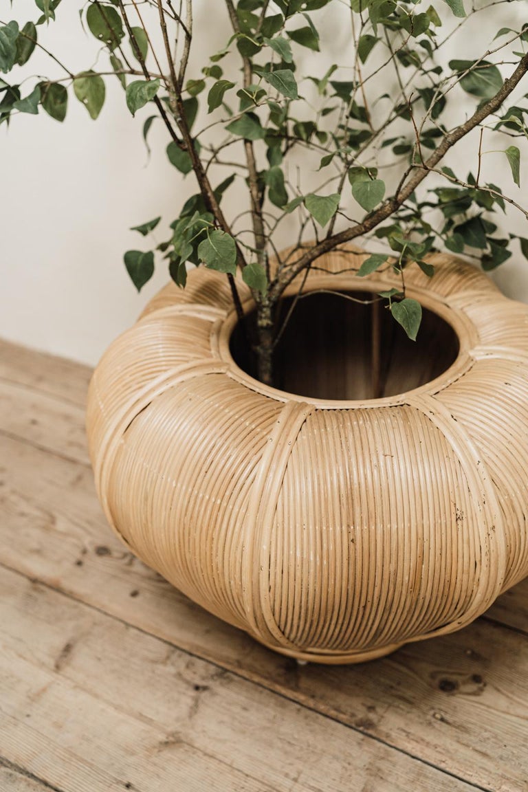Extra Large Pair of Wicker/Rattan Planters at 1stDibs | extra large ...