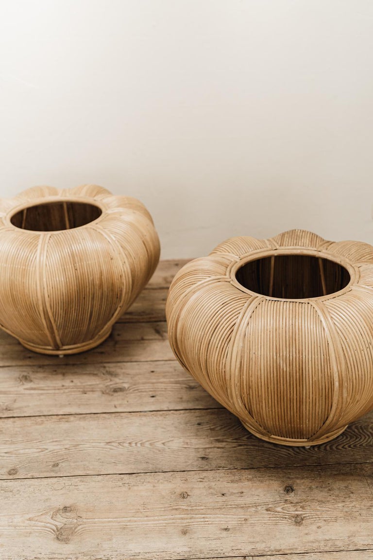 Extra Large Pair of Wicker/Rattan Planters at 1stDibs | extra large ...