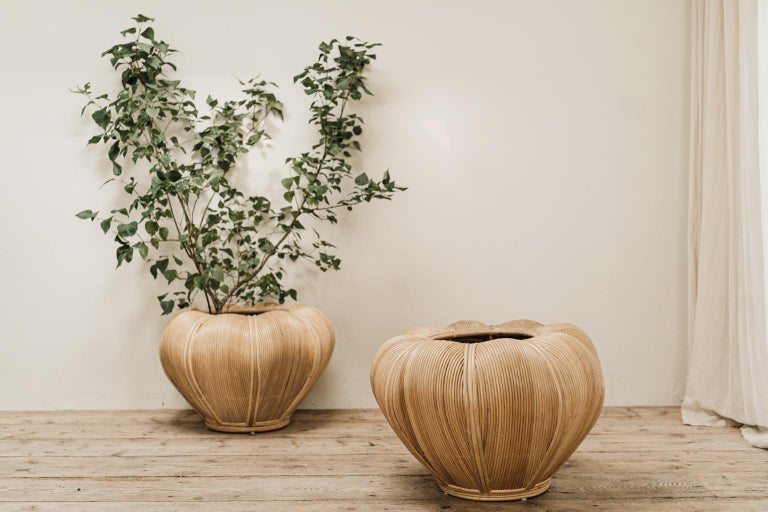 Extra Large Pair of Wicker/Rattan Planters at 1stDibs | extra large ...