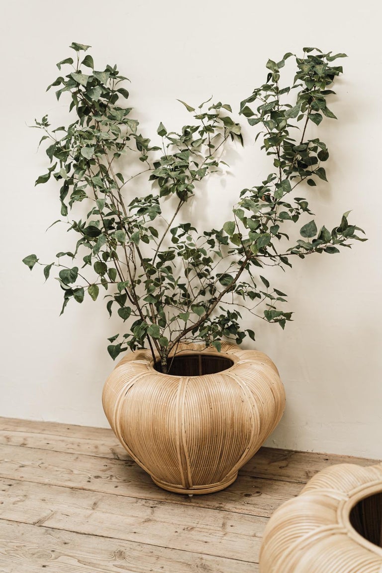 Extra Large Pair of Wicker/Rattan Planters at 1stDibs | extra large ...