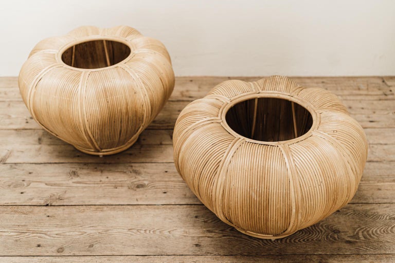 Extra Large Pair of Wicker/Rattan Planters at 1stDibs | extra large ...