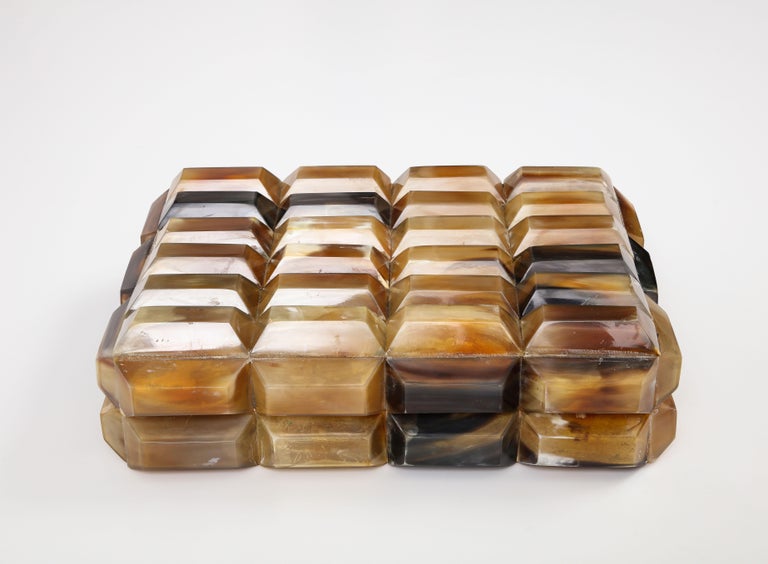 XL Polished Horn Rectangular Segment Box For Sale at 1stDibs