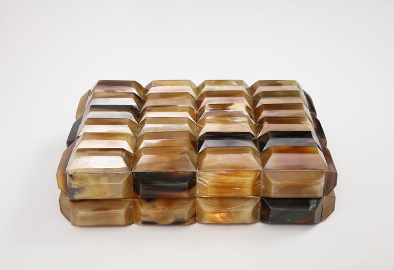XL Polished Horn Rectangular Segment Box For Sale at 1stDibs