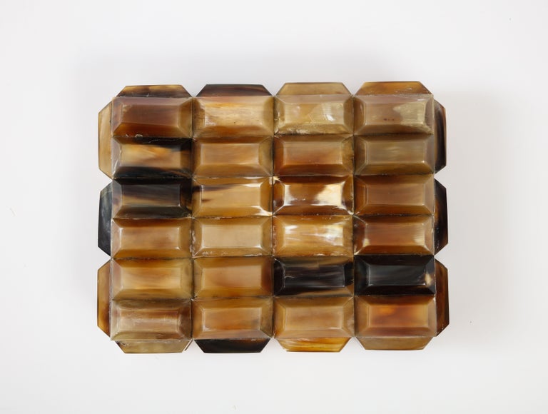 XL Polished Horn Rectangular Segment Box For Sale at 1stDibs