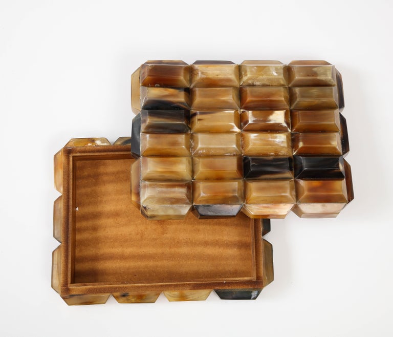 XL Polished Horn Rectangular Segment Box For Sale at 1stDibs