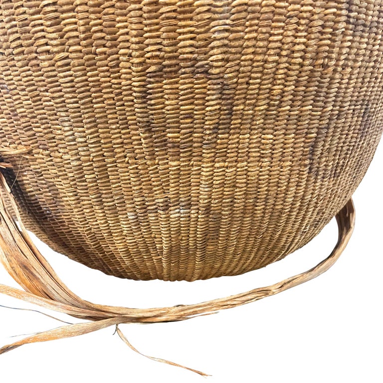 Yanomami Gathering Basket For Sale at 1stDibs