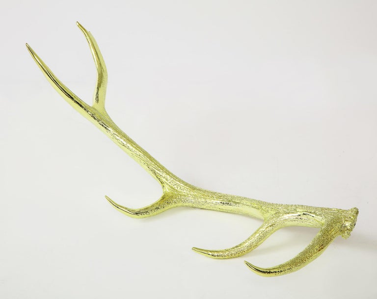 Yellow-Gold Chromed Elk Antler Shed For Sale at 1stDibs