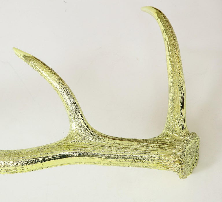 Yellow-Gold Chromed Elk Antler Shed For Sale at 1stDibs