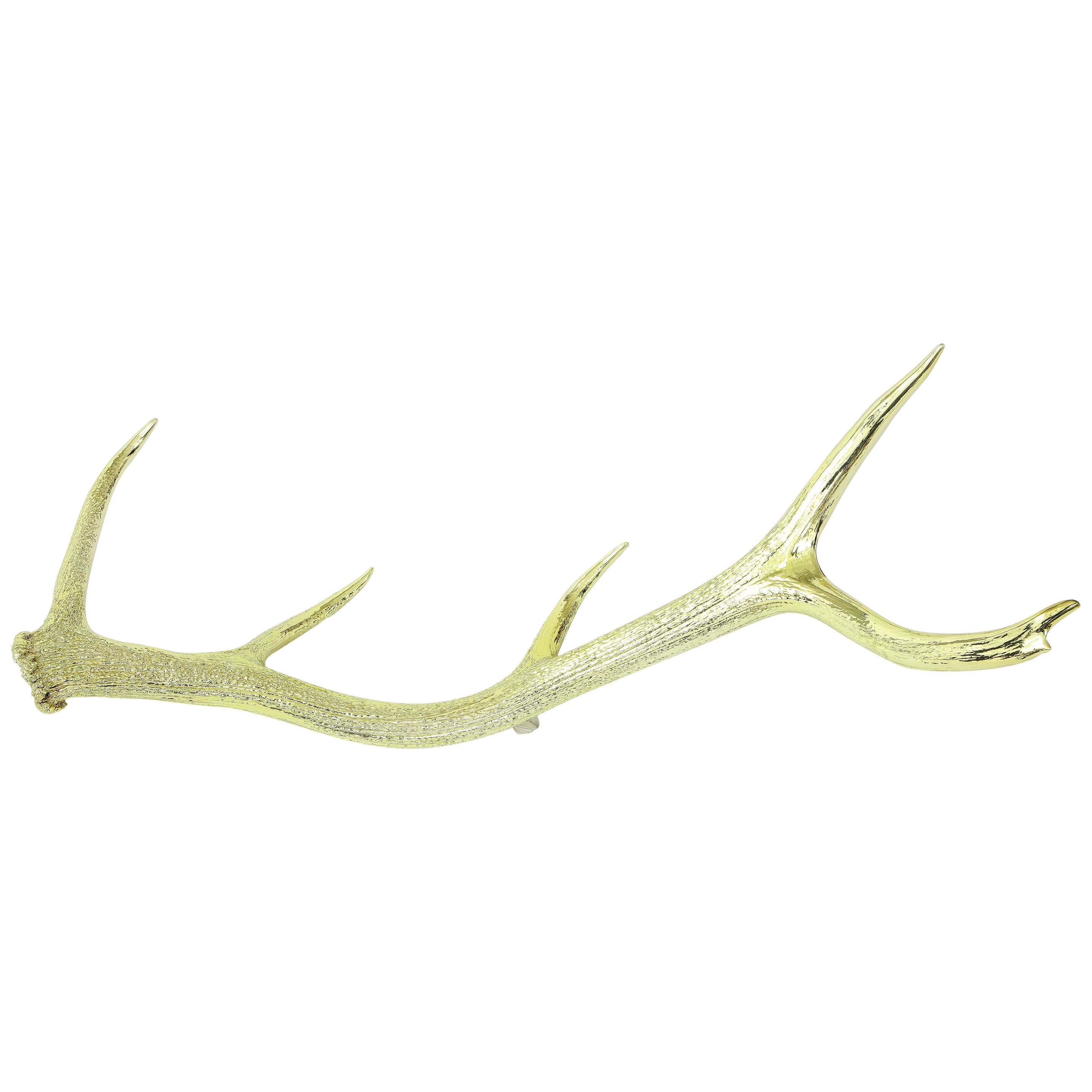 Yellow-Gold Chromed Elk Antler Shed For Sale at 1stDibs
