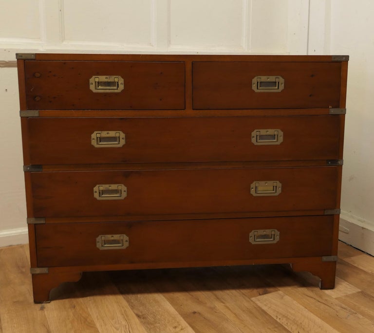 Yew Wood Campaign Chest For Sale at 1stDibs
