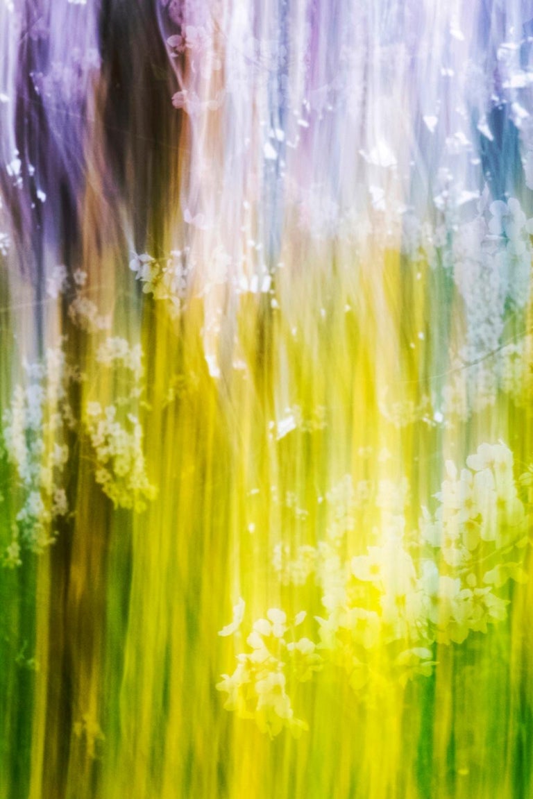 Yoshinori Mizutani - sakura 018 – Yoshinori Mizutani, Colour ...