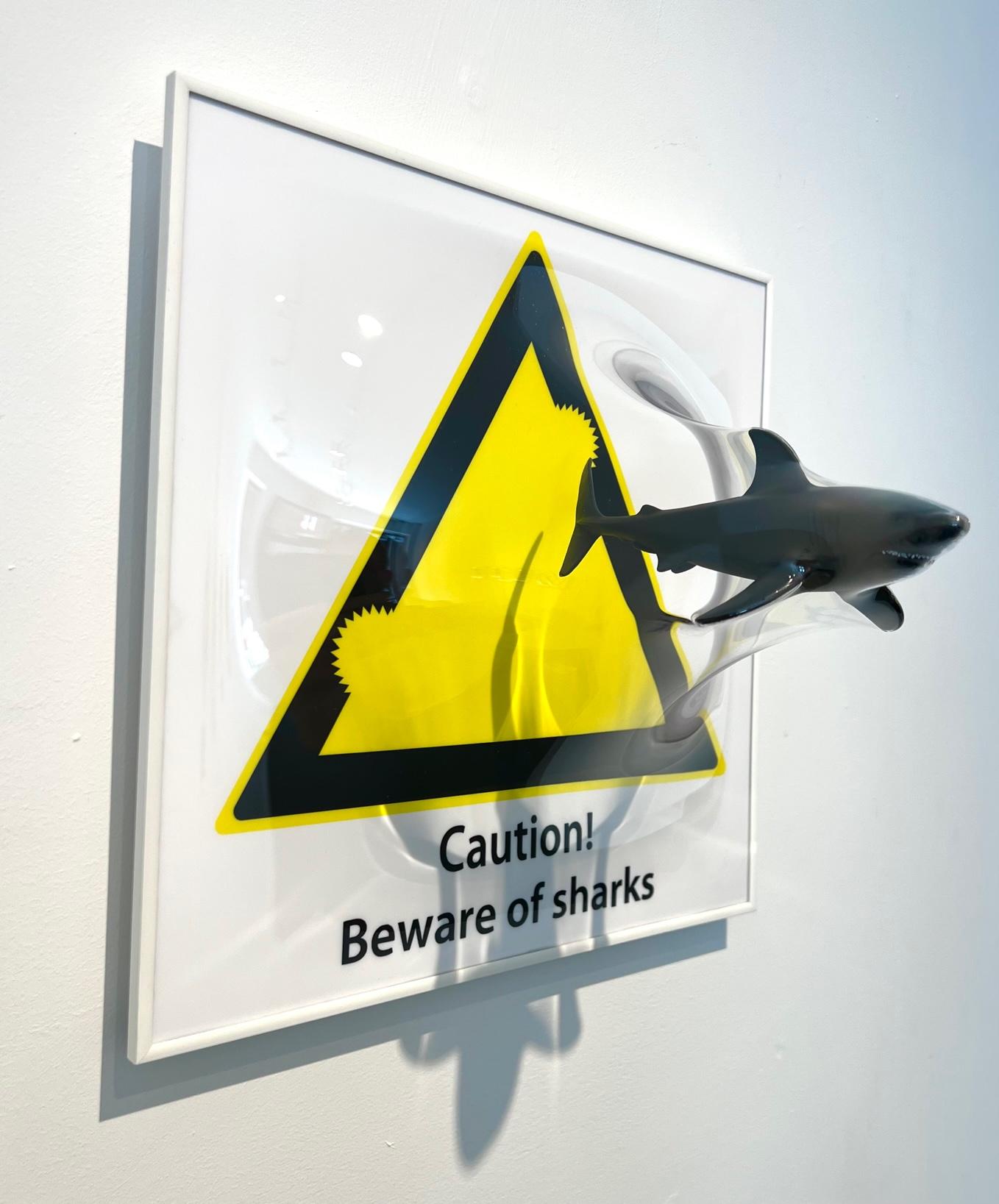 Yuki Matsueda - "Beware of Sharks" For Sale at 1stDibs