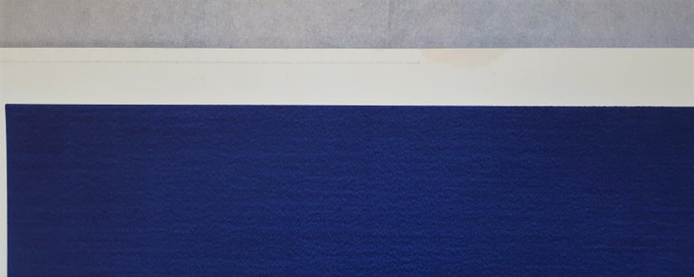 Yves Klein - Monochrome Bleu (IKB 3) at 1stDibs | yves klein exhibition ...