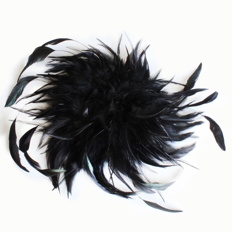 black hat feathers