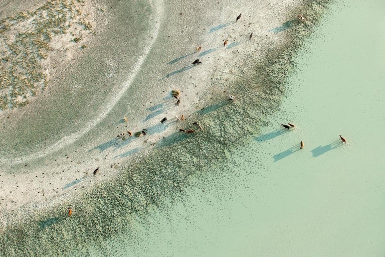 Zack Seckler - Earth Water Fade For Sale at 1stDibs