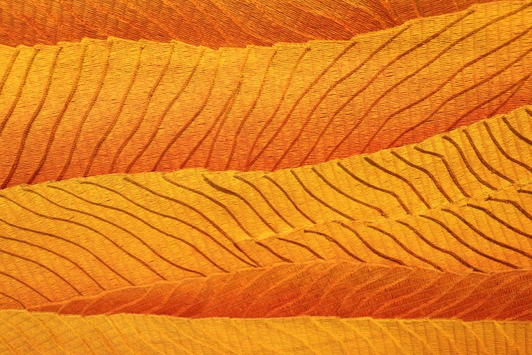 Zelkova - Vadim Garine For Sale at 1stDibs