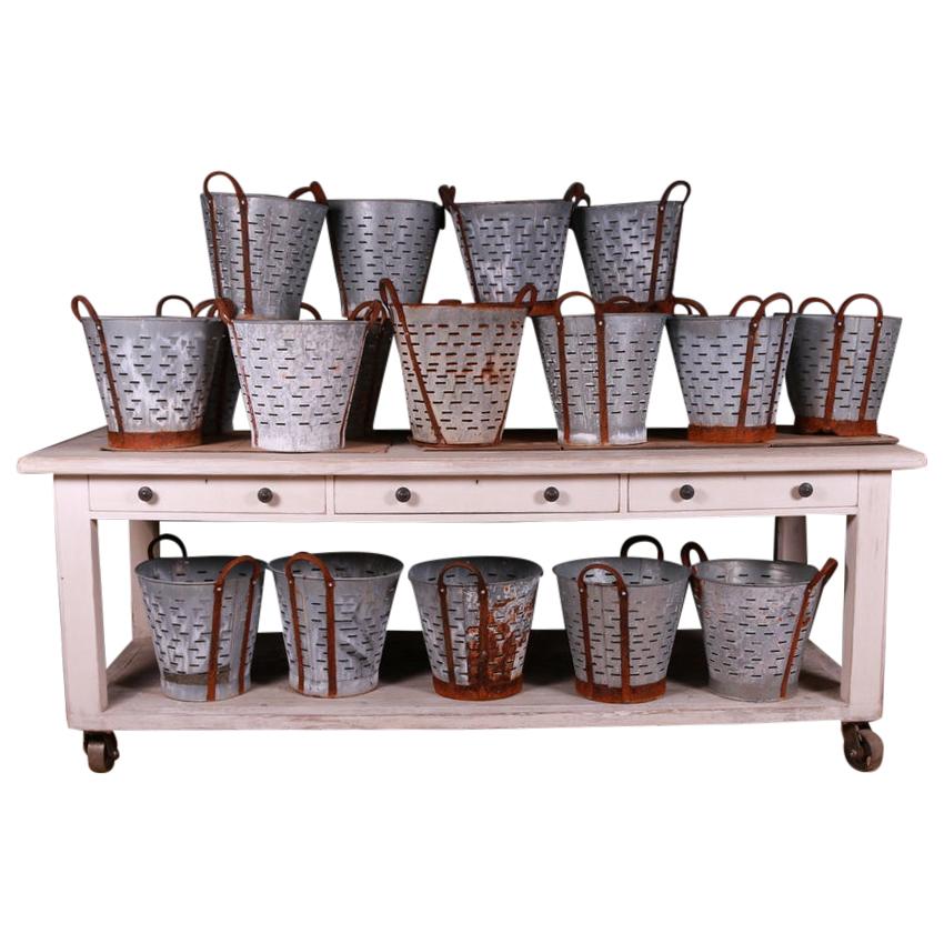 French Zinc Flower Display at 1stDibs